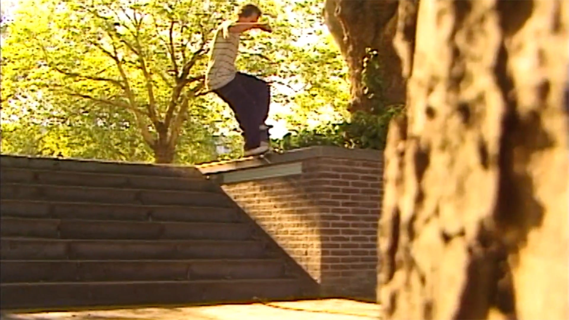 Rob Maatman on Pop - Irregular Skateboard Magazin